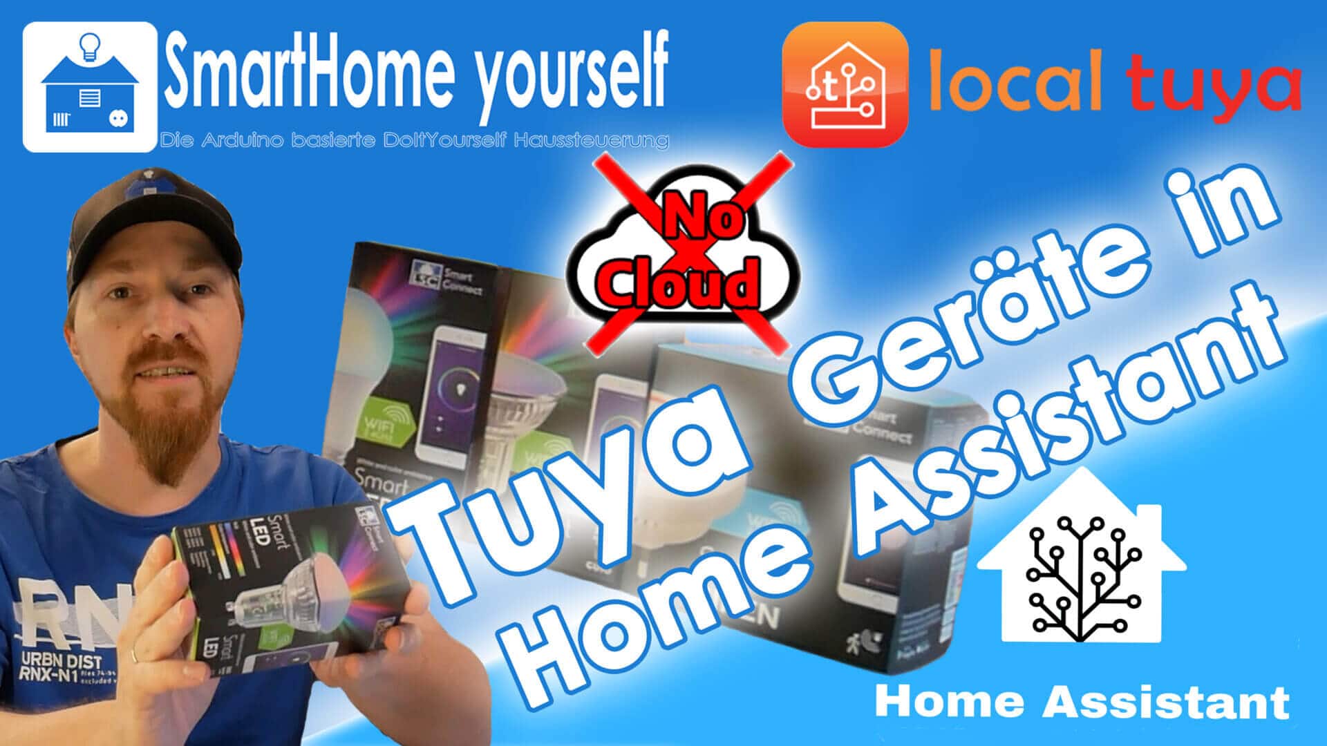 Tuya Ger te Frei In Home Assistant Einbinden Mit Local Tuya 